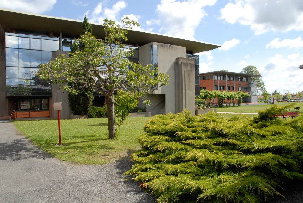 European Project Semester