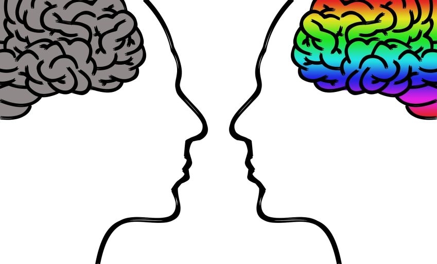 La théorie des biais cognitifs.
